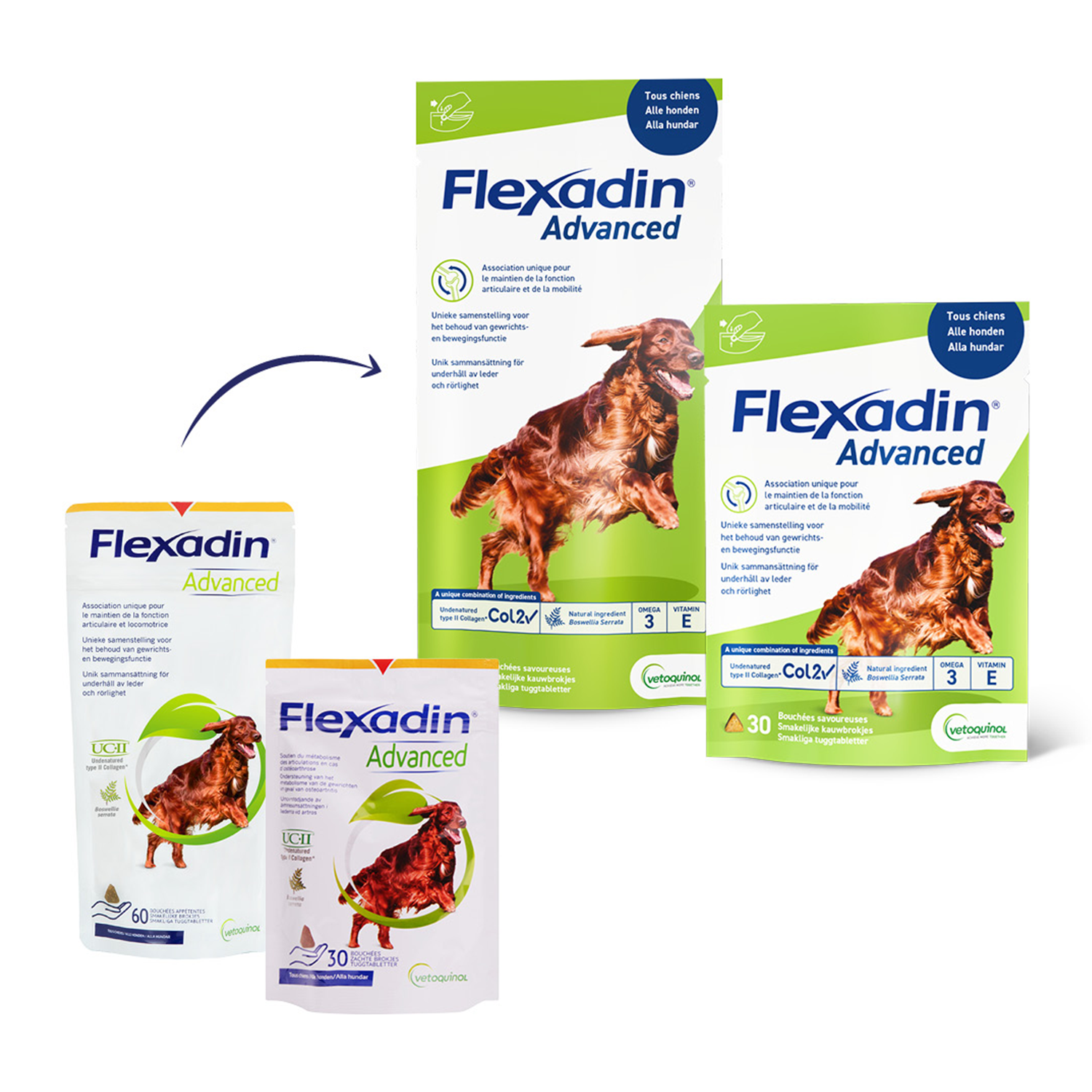 Flexadin Advanced 30 tabletten | Bestellen | Medpets.nl