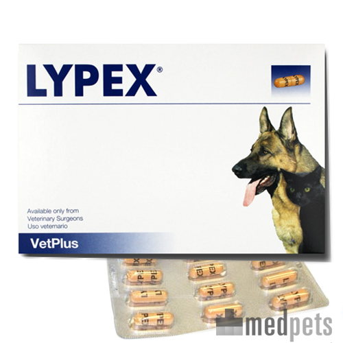 Enzymes Pancréatiques Lypex | Chien | Commander | Medpets.fr