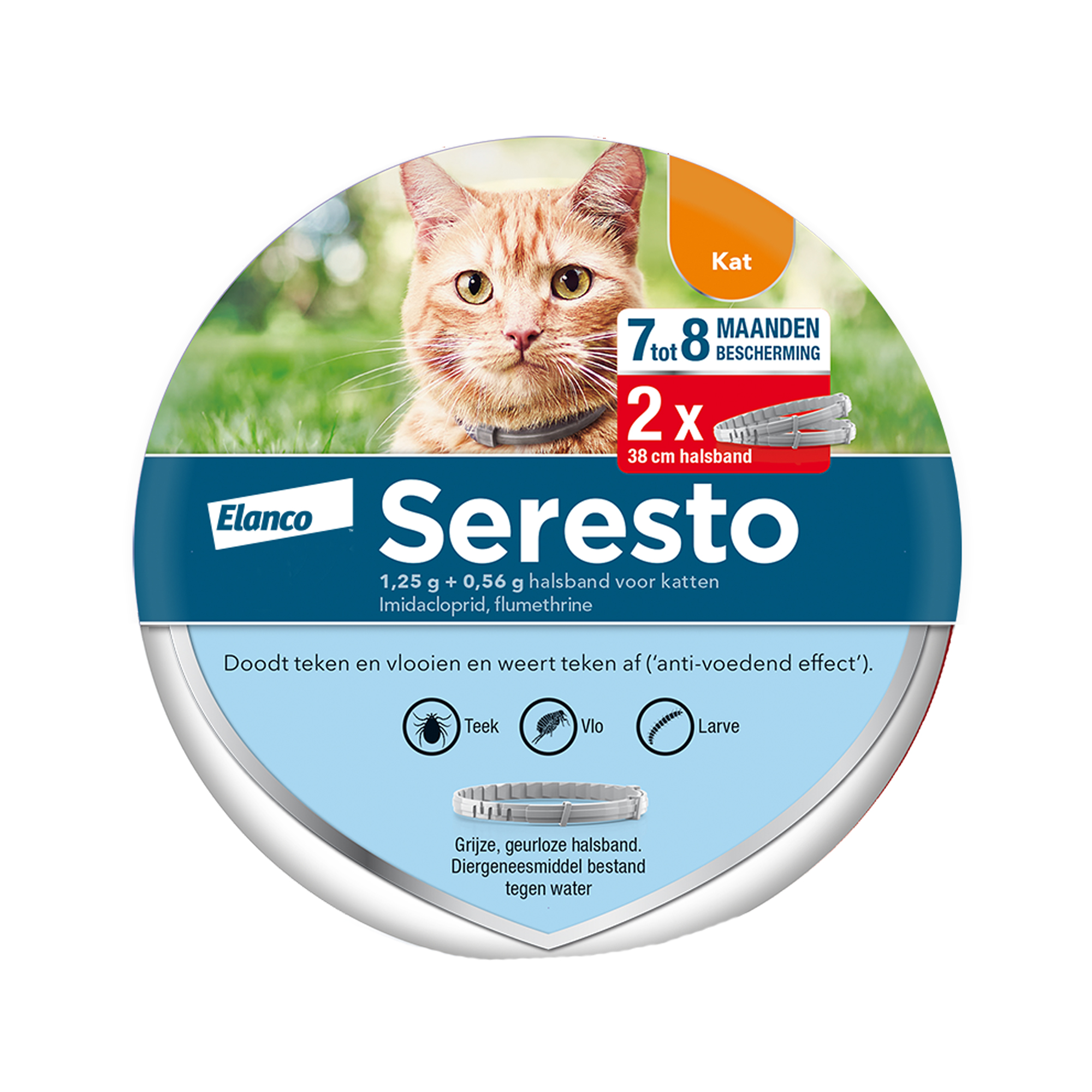 Seresto Kat | Langwerkende anti-vlooien en tekenband | Bestellen ...