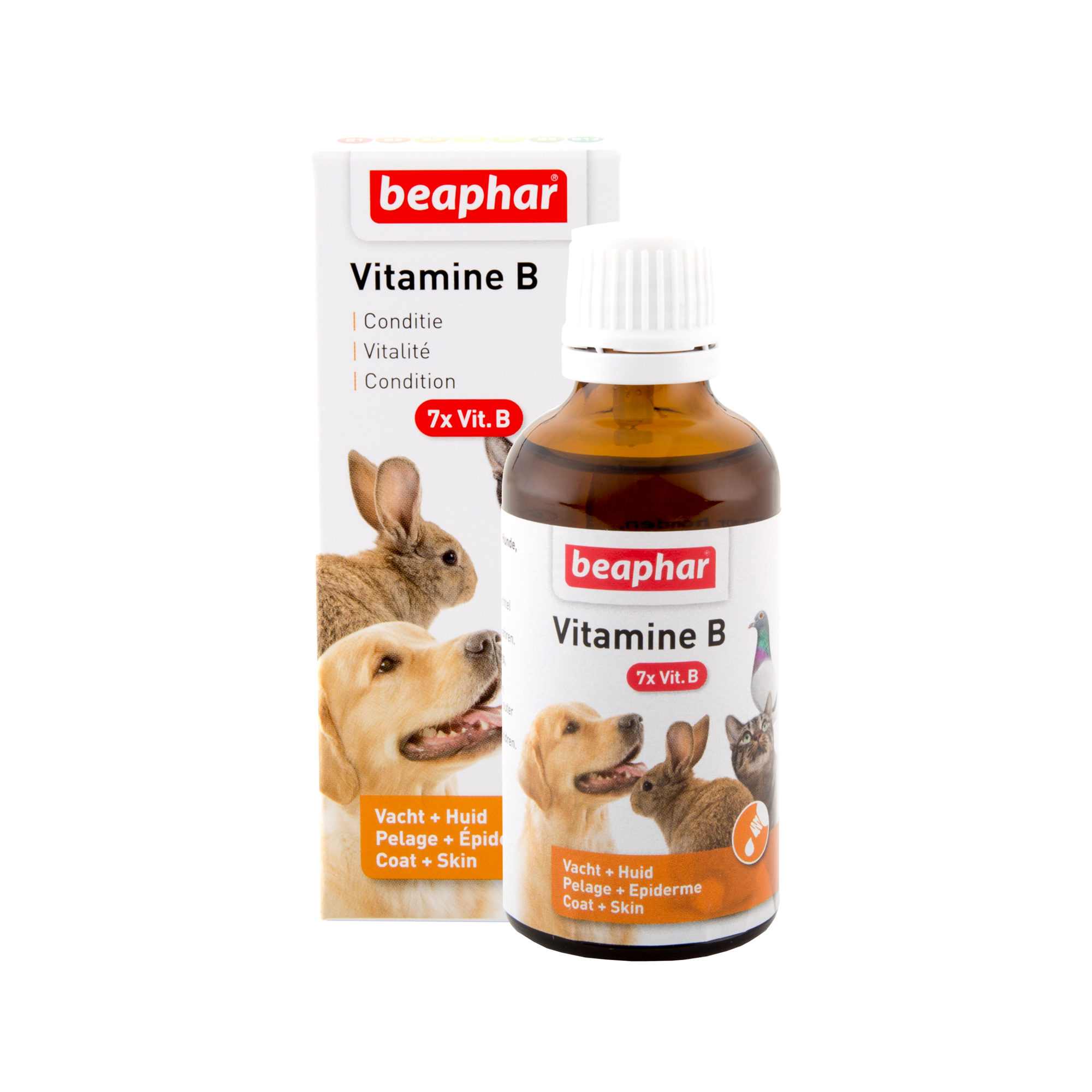 Beaphar Vitamin B-Komplex | Bestellen | Medpets.de