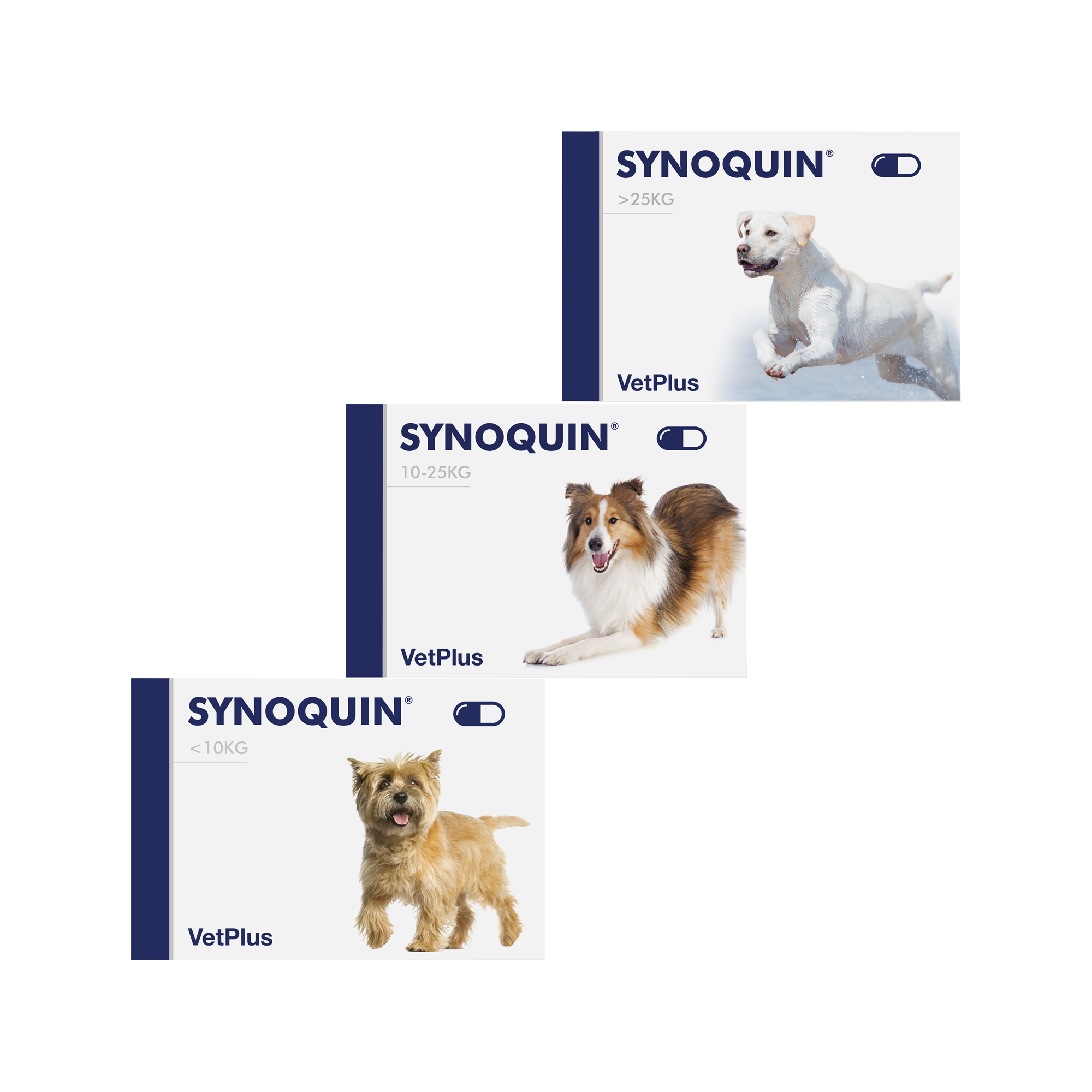 Vetplus Synoquin hond | Bestellen | Gewrichtssupplement | Medpets.nl