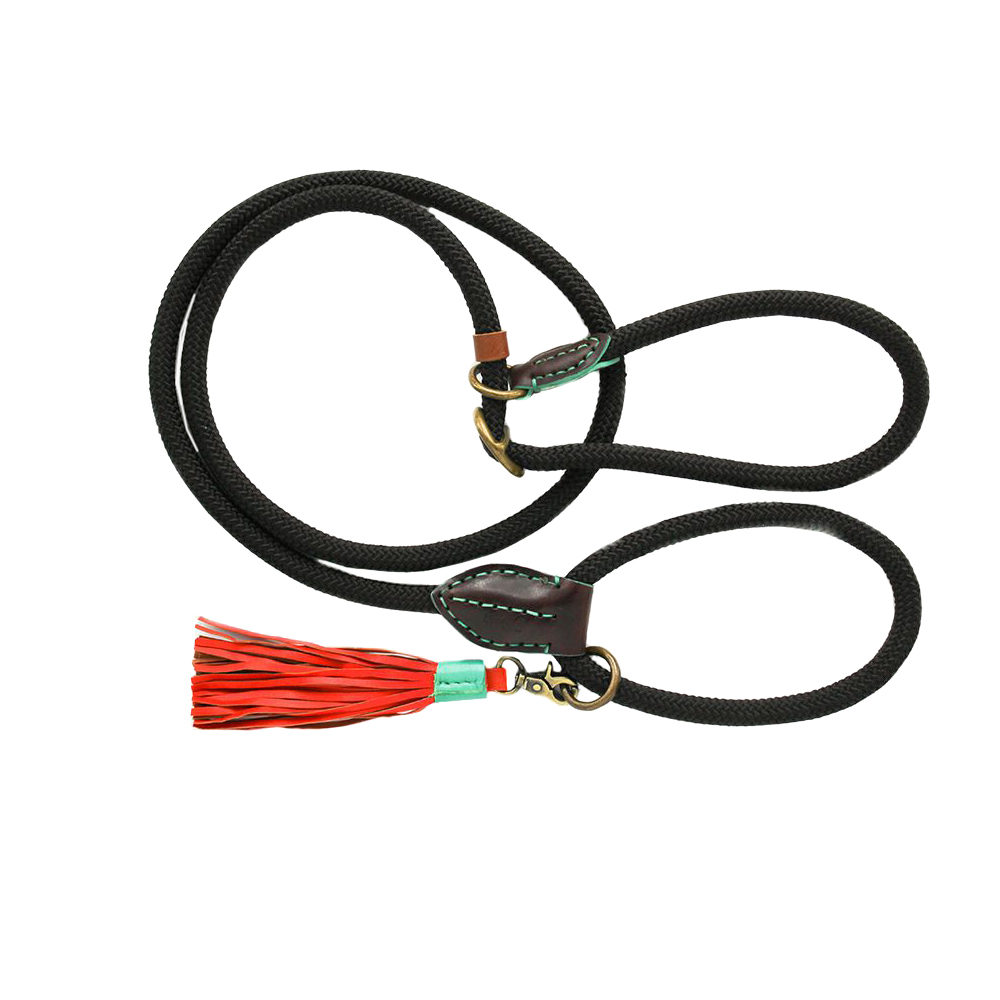 DWAM Dog Leash Long John | Dogs | Shop | Vetsend.co.uk