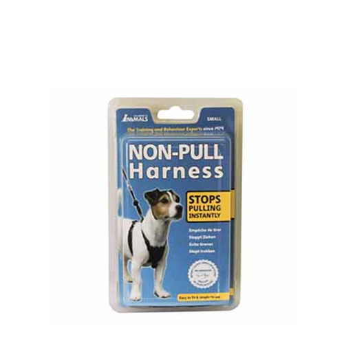 Company of Animals Non-Pull Harness | Dog | Shop | Vetsend.co.uk