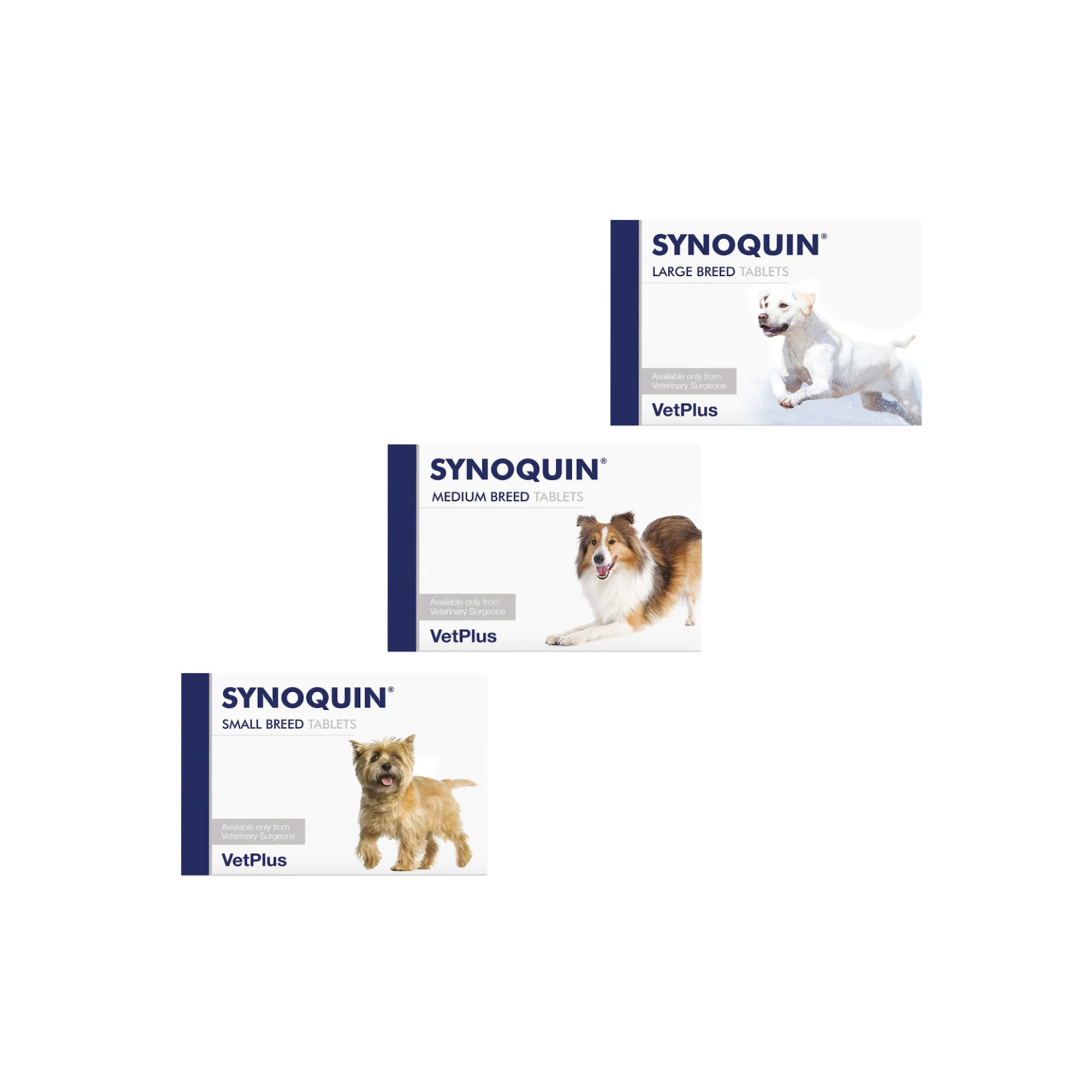 Vetplus Synoquin hond | Bestellen | Gewrichtssupplement | Medpets.be