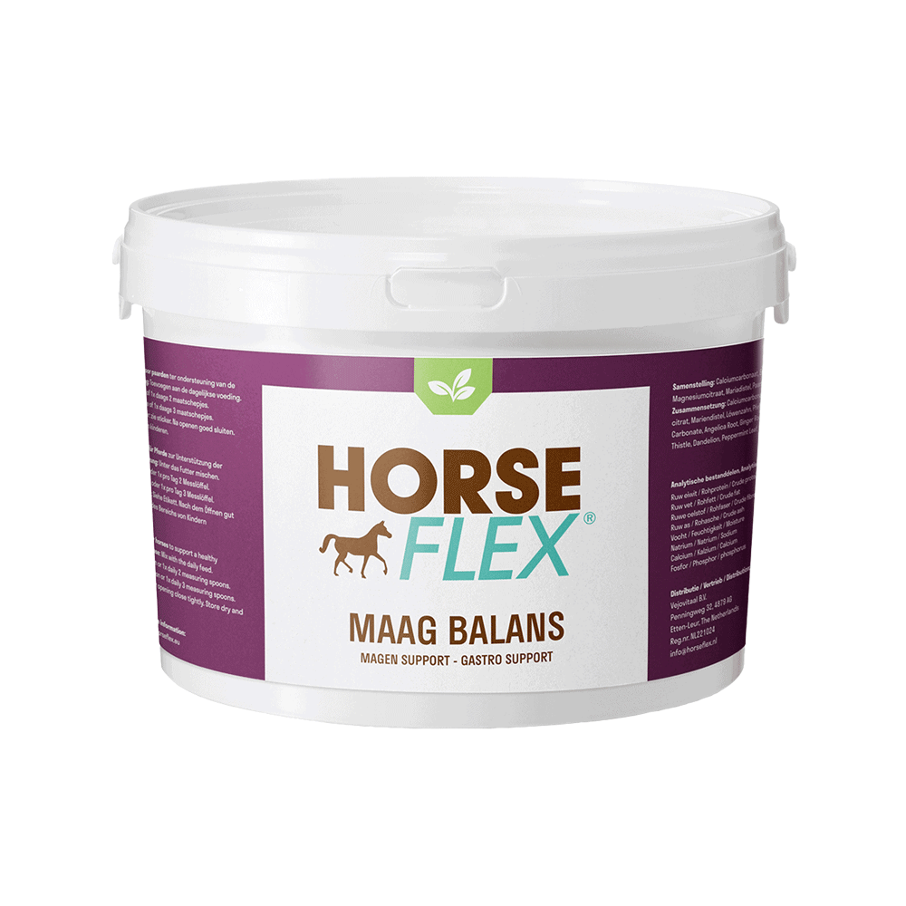 HorseFlex Magen Balance | Verdauung | Pferd | Medpets.de