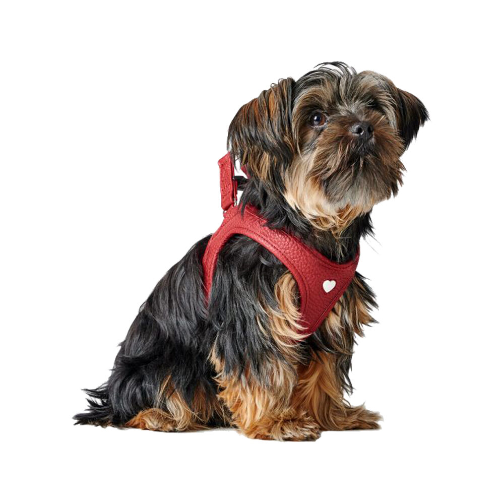 Hunter Harness Love Dogs Order Vetsend