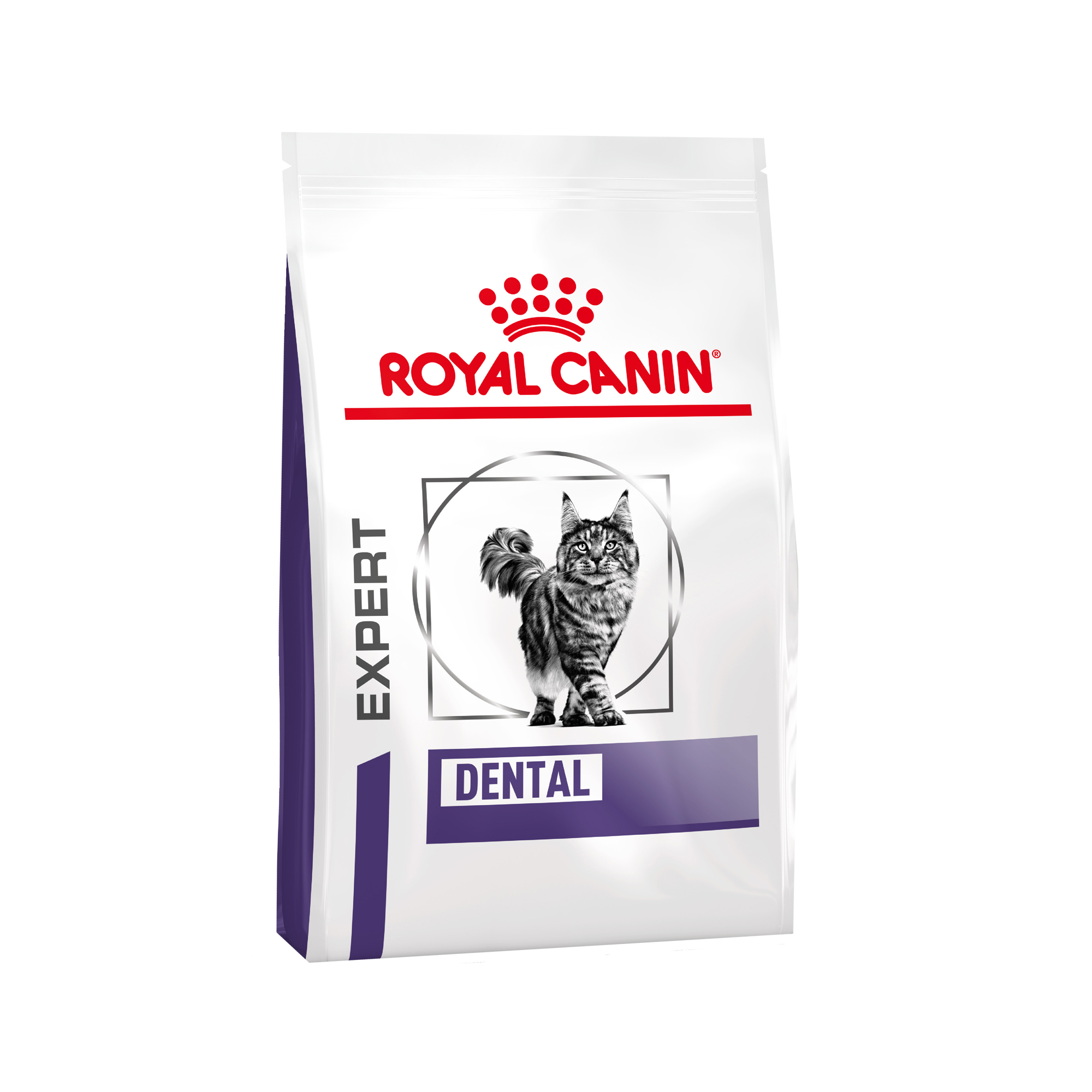Royal canin renal cat food store