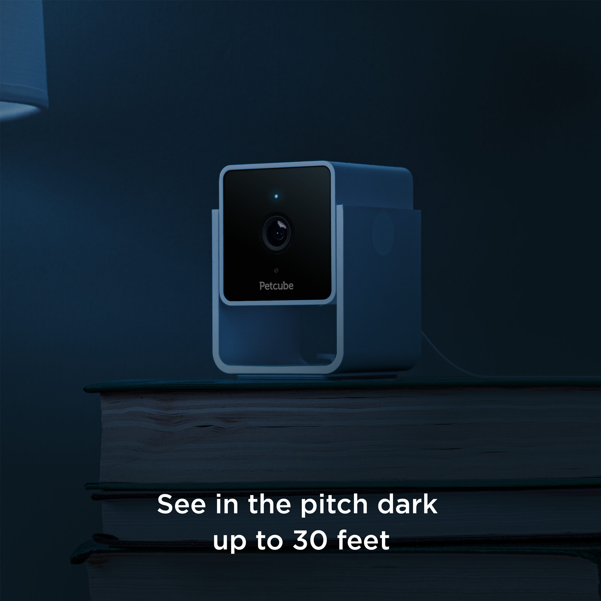 Petcube camera store