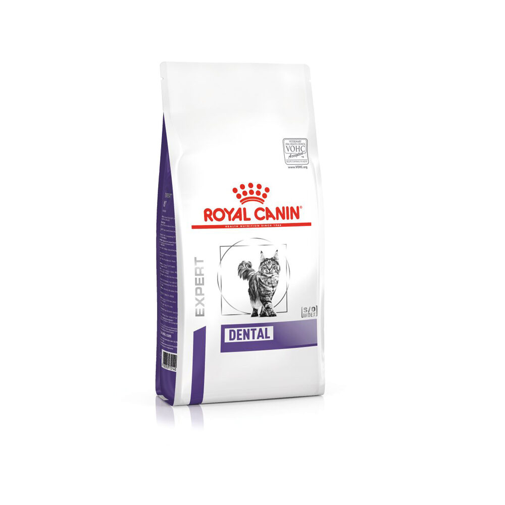 Royal Canin Dental kat | Bestellen | Gebitsverzorgende voeding | Medpets.nl