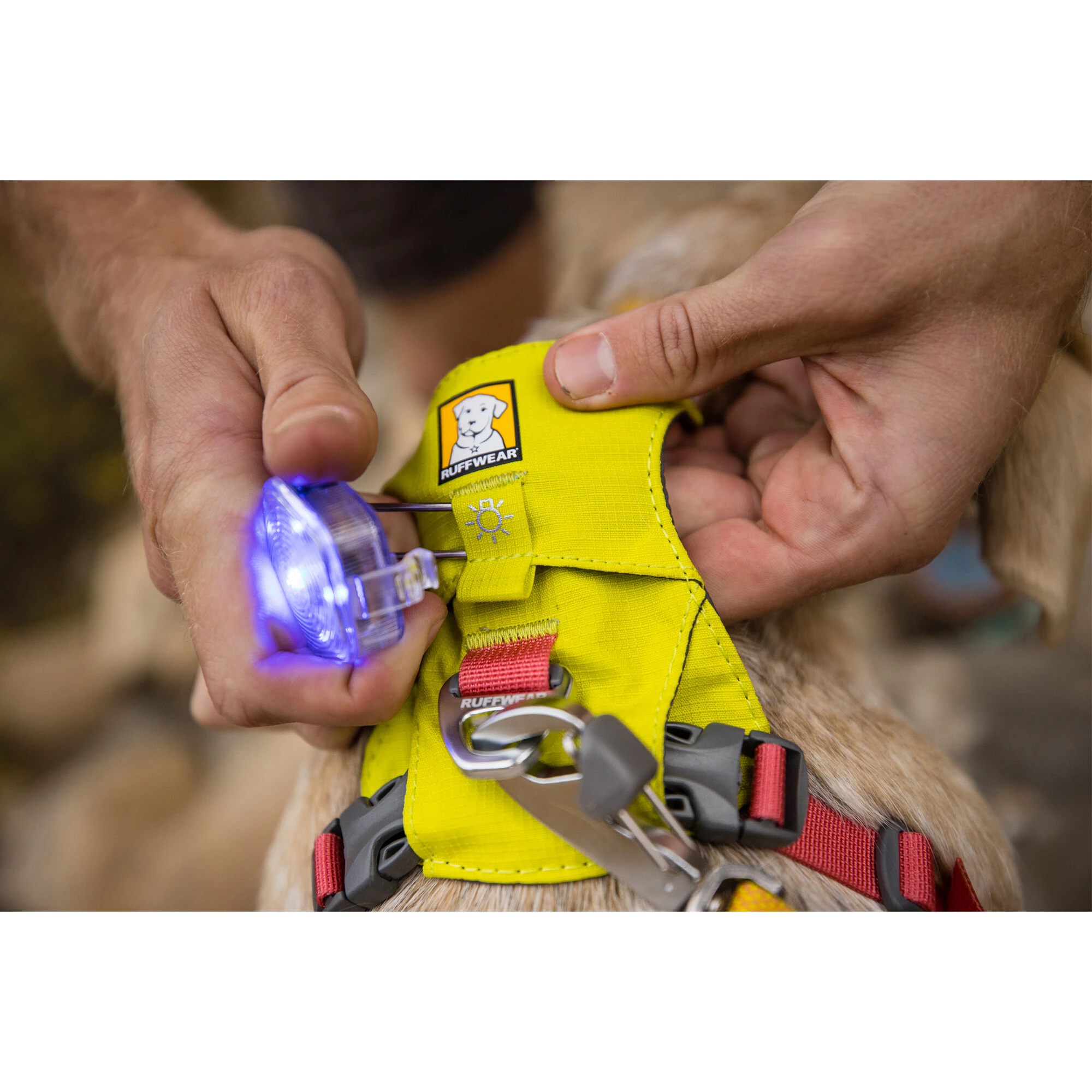 Ruffwear Hi & Light Harness | Dog | Order | Vetsend.co.uk