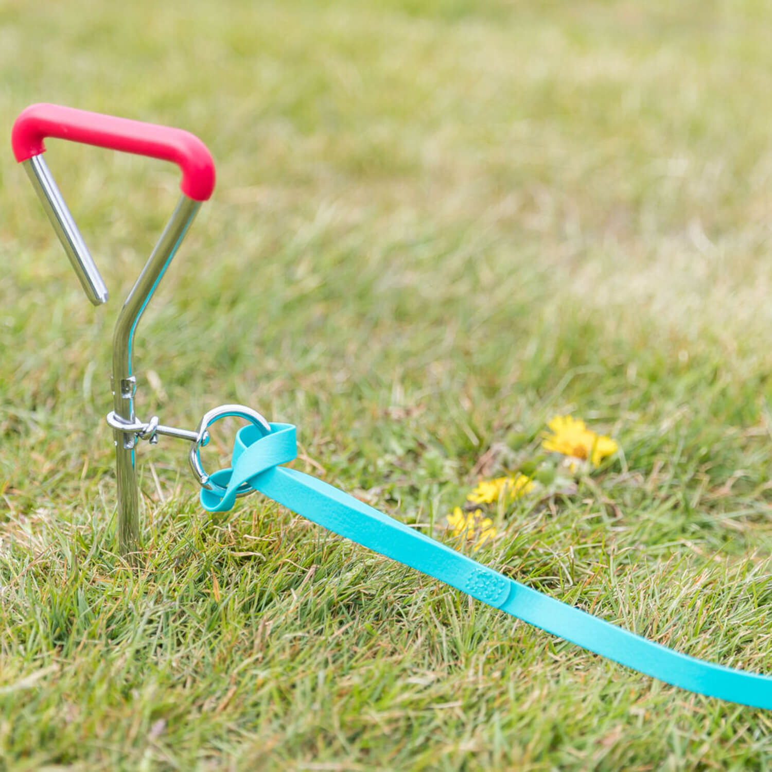 Trixie Tie Out Stake