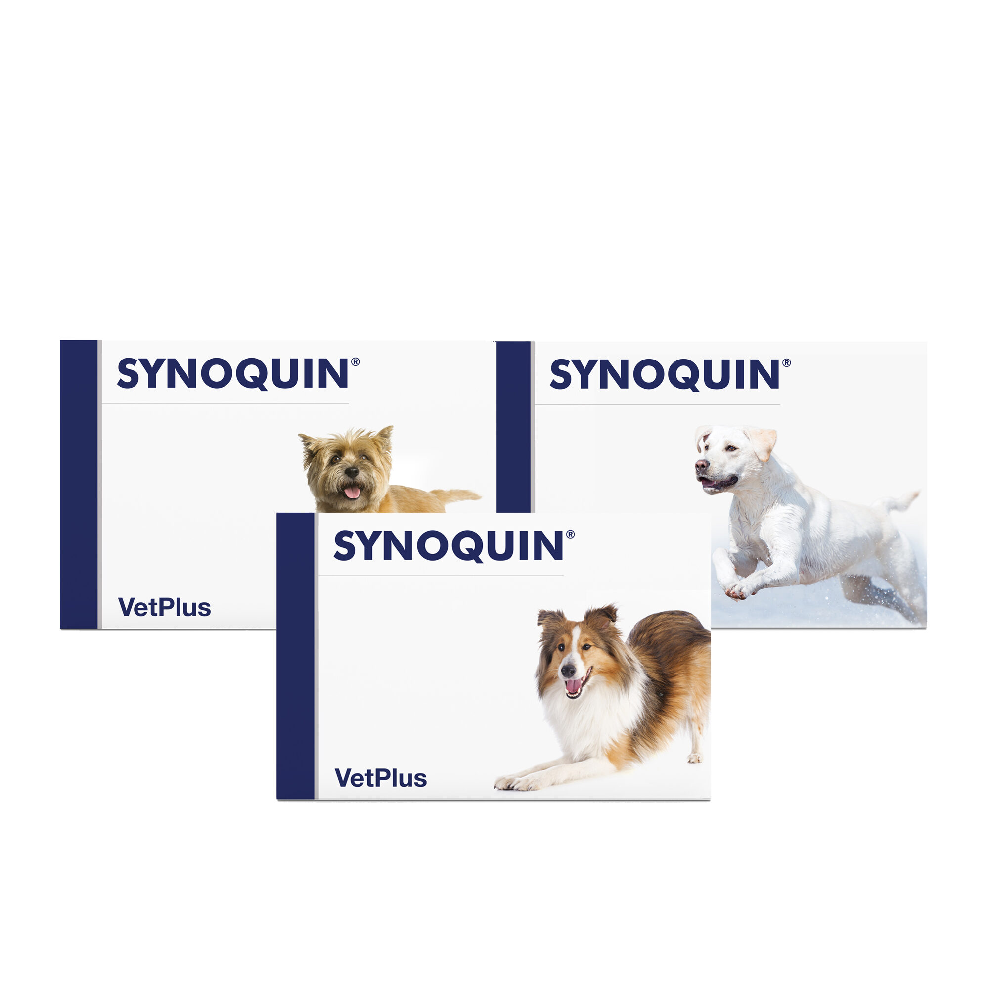 Vetplus Synoquin EFA dog | Order | Joint Supplement | Vetsend.co.uk