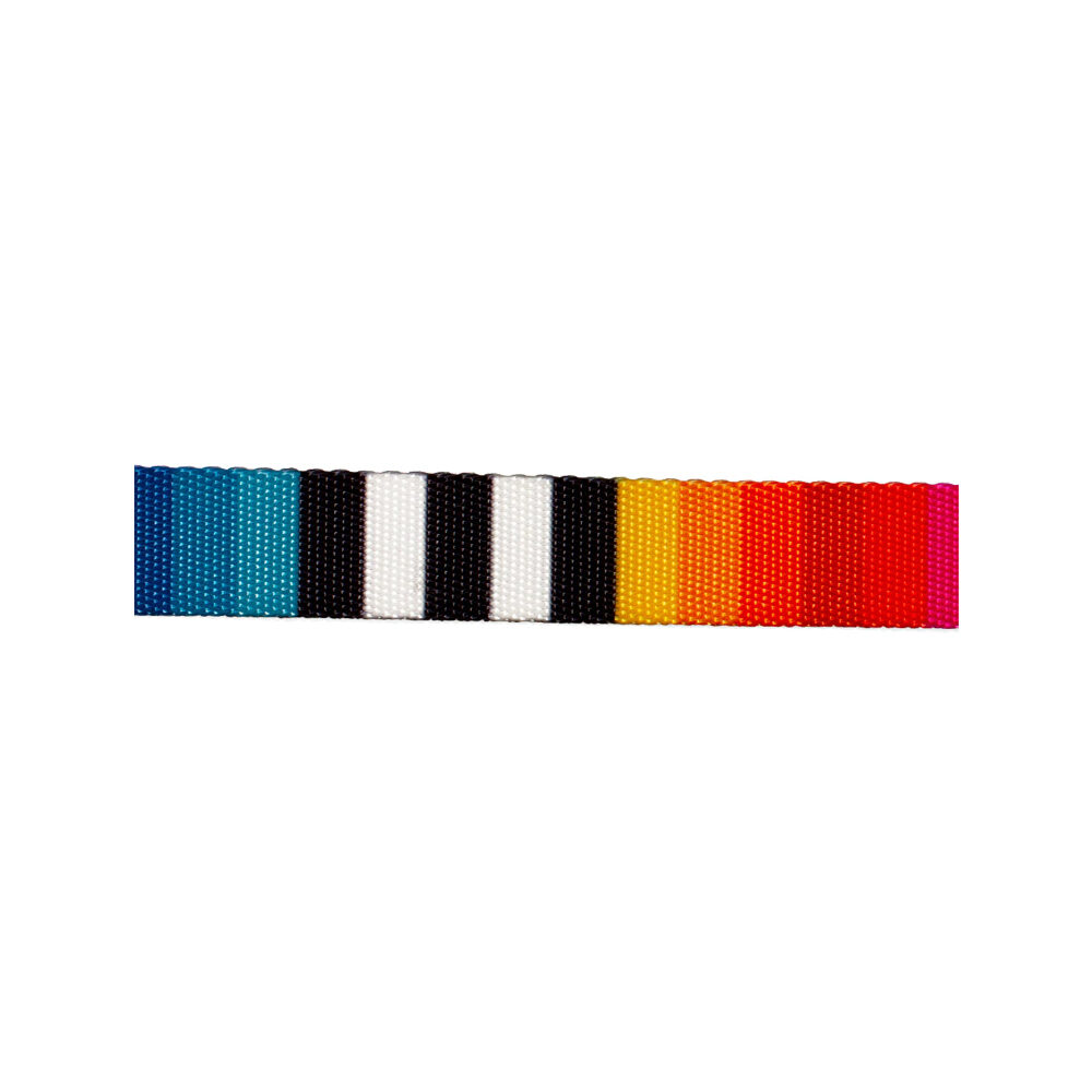 Zee.Dog Dog Collar | Hundehalsband | Bestellen | Medpets.at Zee.Dog Dog Collar | Hundehalsband | Bestellen | Medpets.at